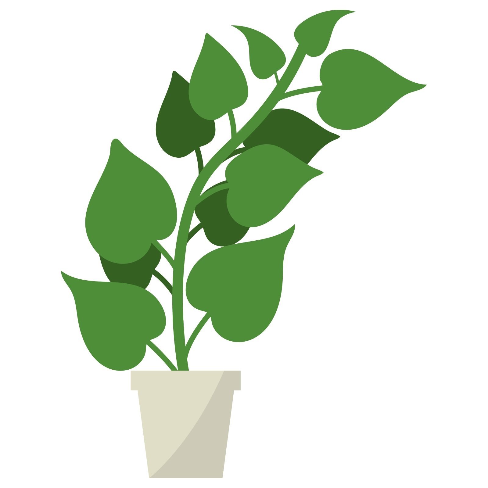 Fo-Ti Powder: How Can it Help with Hair Loss? 2022 - Hair Loss Geeks