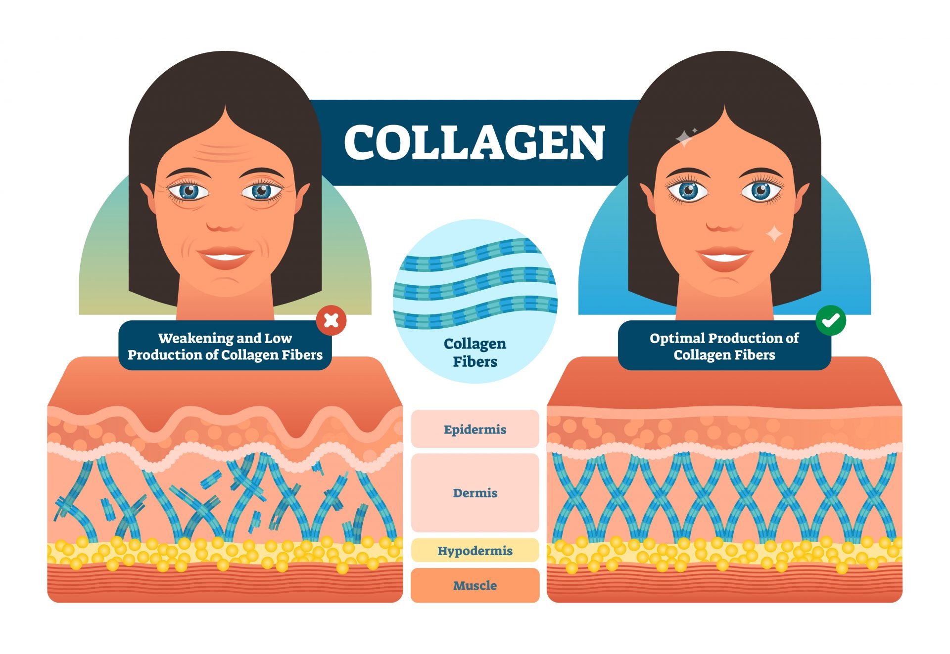 Can You Take Biosil And Collagen Together? 2022 - Hair Loss Geeks